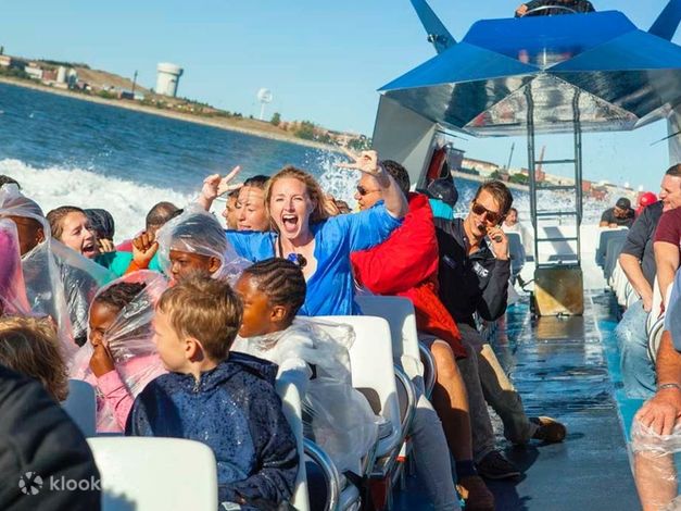 Codzlilla Thrill-boat Ride in Boston - Klook