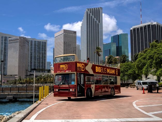 Miami Big Bus Hop-On Hop-Off Tours (Open-Top) - Klook Canada