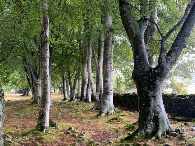 Invergordon Shore Tour: Loch Ness, Outlander Sites & Highlands - Klook