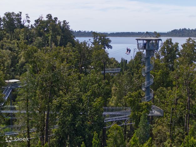 Hokitika의 West Coast Tree-top Tower Zipline & Walkway - 클룩 Klook 한국