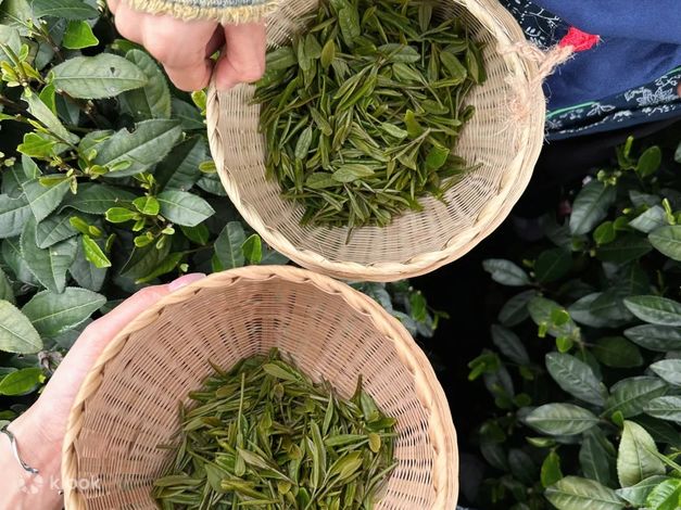 Hangzhou West Lake Cultural Village Leisure Half-Day Tour (Longjing Tea ...