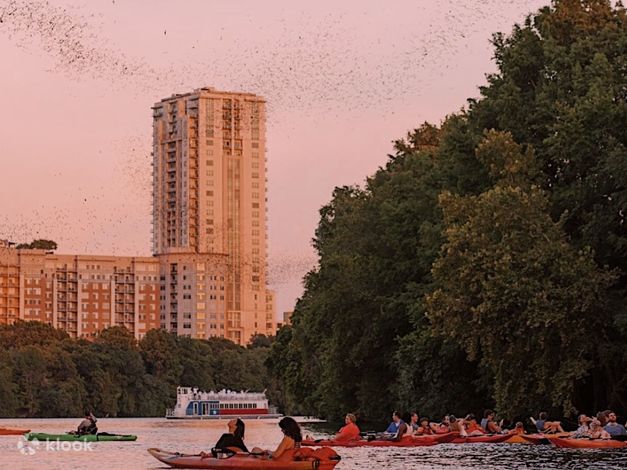 Austin Sunset Bat Watching Kayak Tour - Klook