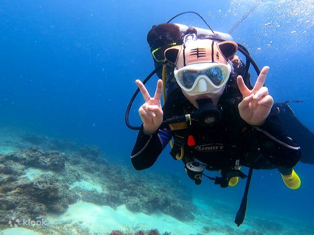 Unforgettable SCUBA Diving Experience in Cebu - No Certificate Needed ...