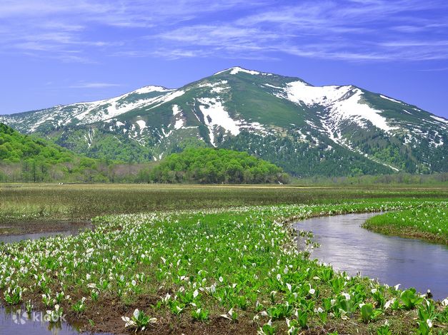 [Gunma Scenic Hiking Tour] Japan's Largest Plateau Wetland "Oze-no-hara ...