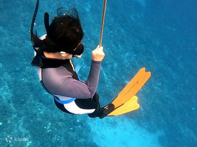 Xinbei Gongliao Dragon Cave Fighting Diving OW・AOW License・Free Diving ...