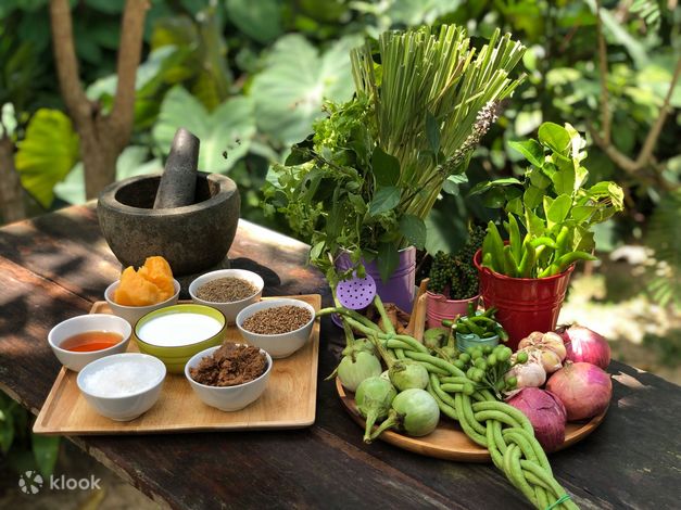 Secrets of Thai Cooking with a Market Tour From Chiang Mai - Klook