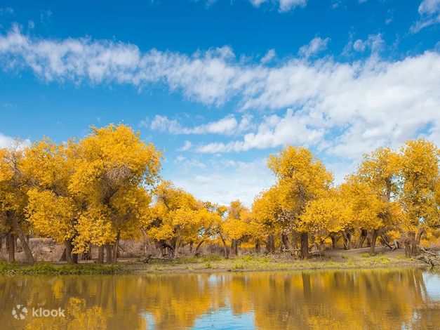 6-Day Inner Mongolia Ejin Tour (Yinchuan Start/End + Tengger Desert ...