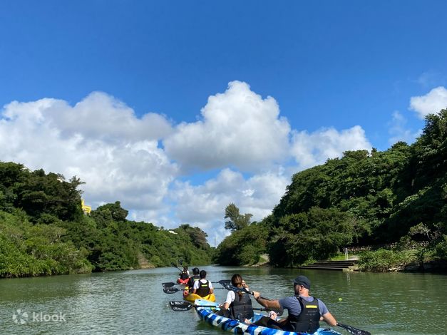 Mangrove Kayak tour in Okinawa - Klook United States