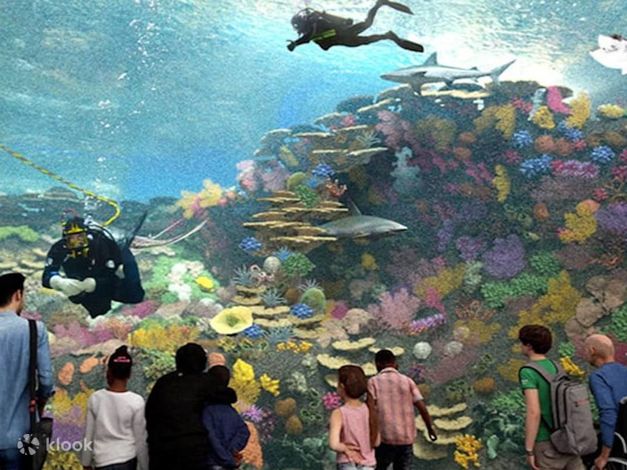 The Seattle Aquarium Entry Ticket - Klook