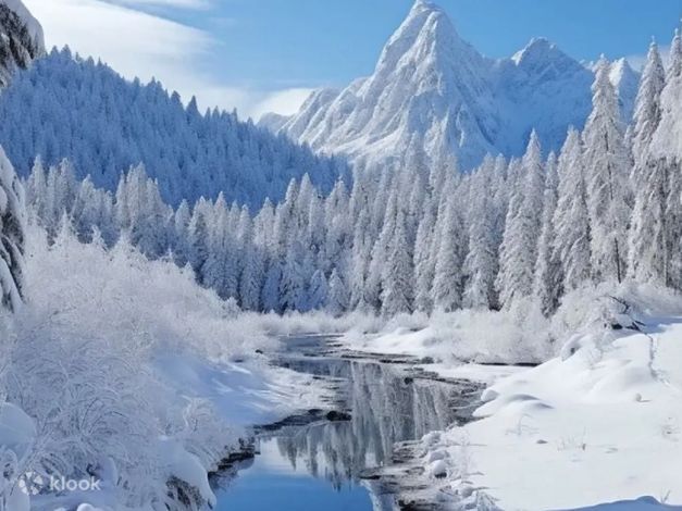 Sichuan Bipenggou Ice and Snow Fairy Tale World 1-Day Tour (Snow ...