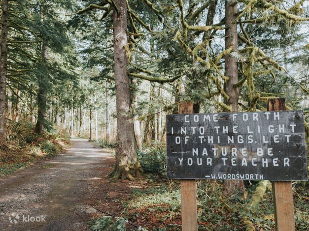 Wallace Falls Rainforest and Waterfall Hiking Tour From Seattle - Klook ...