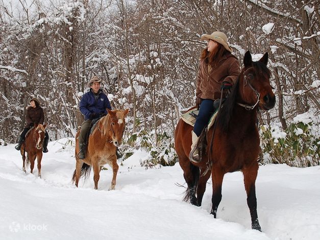 Winter Horseback Riding In Sapporo - Klook
