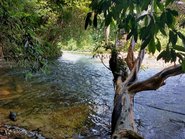 Taman Negeri Rompin Trekking Tour from Pahang - Klook