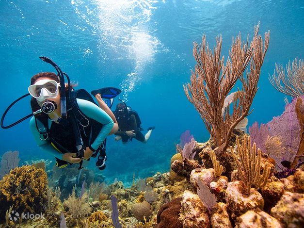 PADI OW Diver Course in Bali with PADI Dive Center - Learn Scuba Diving ...