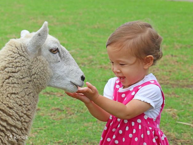 Chiba Mother Farm Ticket Tokyo, Japan - Klook, Vereinigte Staaten