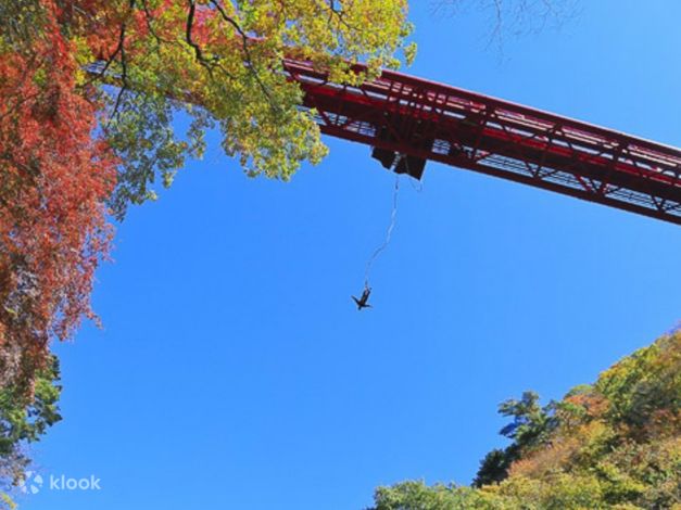 Gunma Sarugakyo Bridge Bungee Jumping Experience from Tokyo, Japan ...