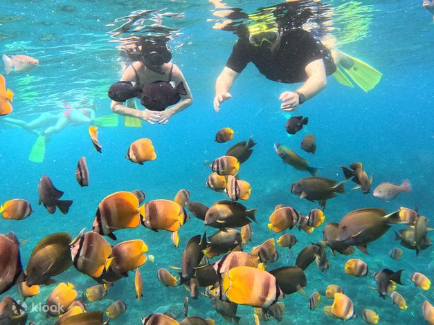 Nusa Penida: Manta Point Snorkeling & East Coast Tour - Klook United States