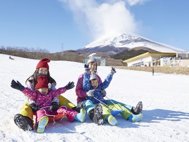 Mount Fuji 5th Station and Gotemba Premium Outlets from Tokyo(Disban ...