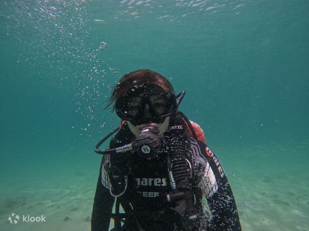 Scuba Diving Experience for Beginners in Dubai - Klook