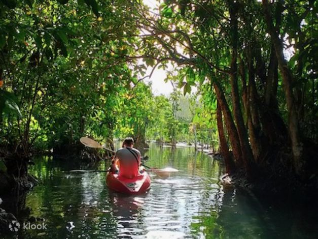 Klong Nam Sai Kayak + Fish Feeding + Elephant Watching + ATV - Klook