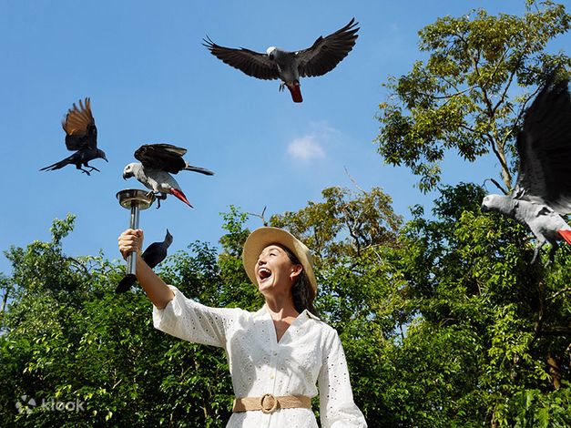Bird Paradise Ticket in Singapore - Klook Singapore