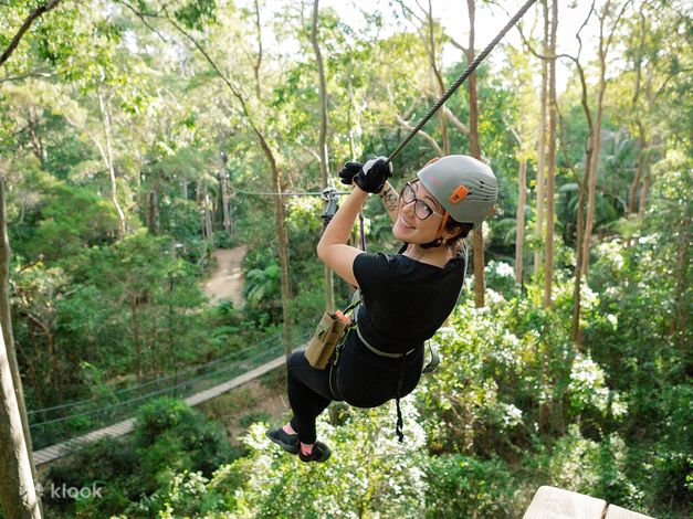 TreeTop Challenge at Tamborine Mountain from Gold Coast - Klook Australia