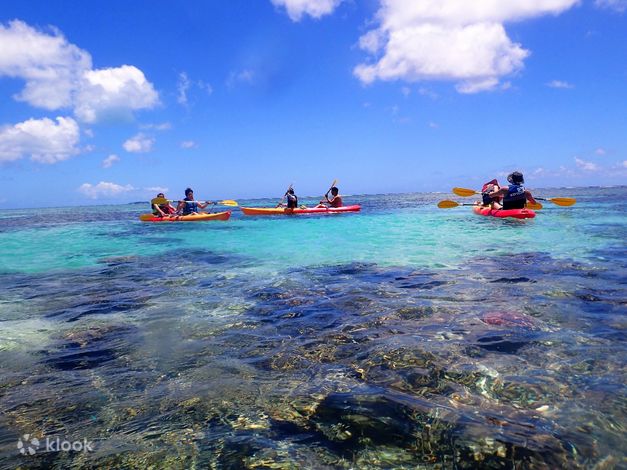 Saipan Kayaking & Snorkeling Adventure in Paupau Beach - Klook Philippines
