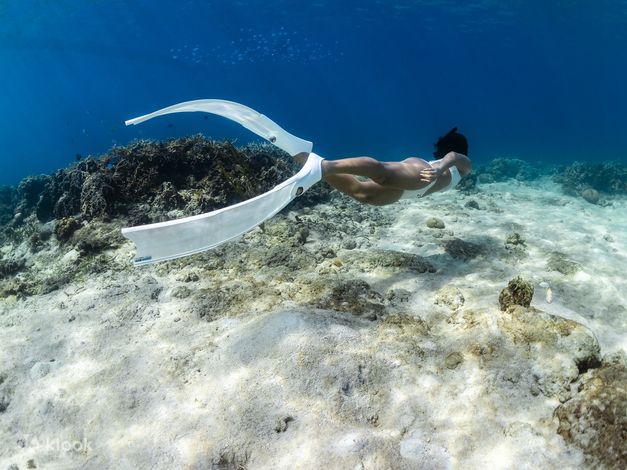 2-Day Basics of Freediving Course in Batangas - Klook