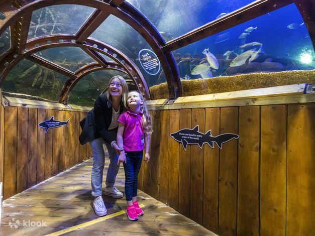 SEA LIFE Hunstanton ticket - Klook Singapore