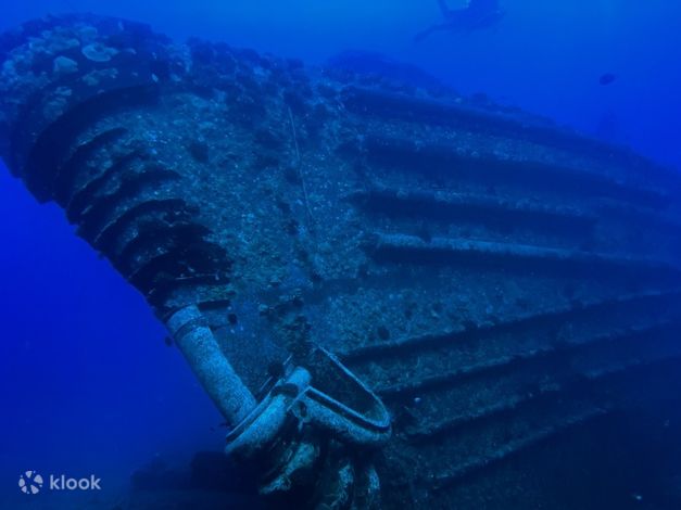 Ultimate 3-Tank Dive Experience in Oahu - Klook United States