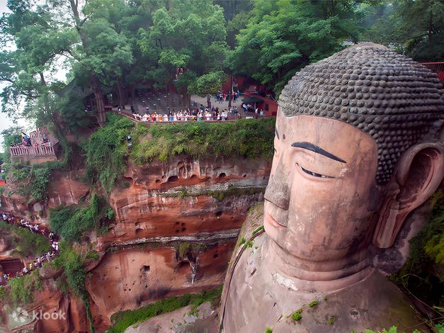 Chengdu Classic Must-visit English Group Tour Giant Panda Breeding ...