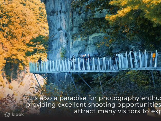 Cheolwon Canyon & Seasonal Hot Attractions One Day Tour - Klook