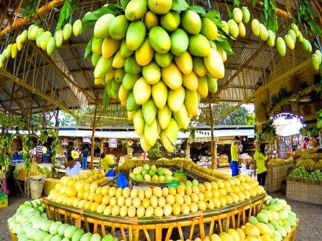 Guimaras Islandhopping & Iloilo City Whole Day Tour with Snacks - Klook ...