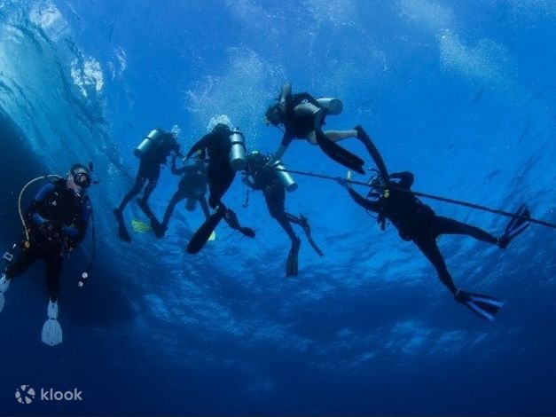 Ultimate 3-Tank Dive Experience in Oahu - Klook