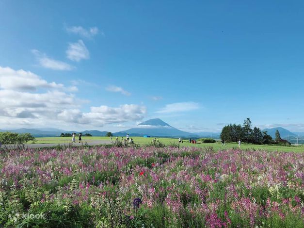 Join In Lake Toya Hot Spring Gourmet Tour in Toyako and Noboribetsu ...