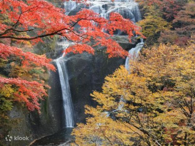 [Ibaraki's Three Famous Fall Foliage Viewing Spots] Fukuroda Falls ...