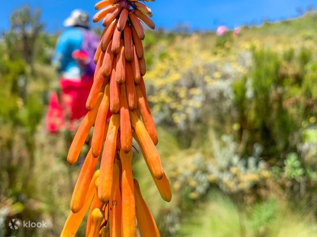 Discover Nature's Magic: One-Day Hike to the Enchanting Seven Ponds of ...