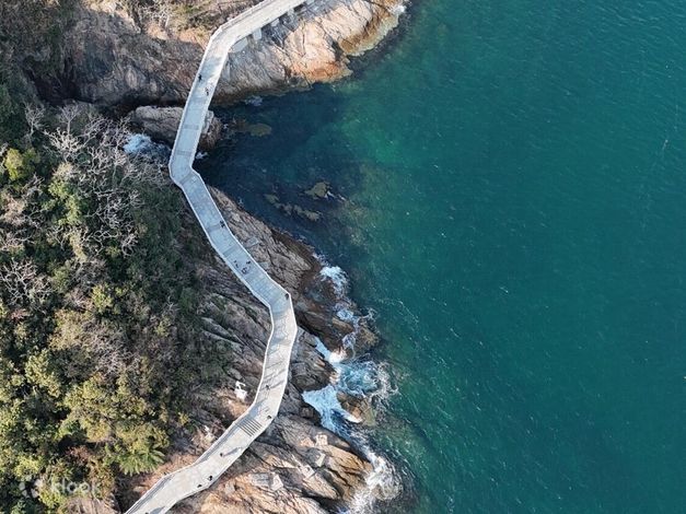 One day in western Shenzhen, Guangdong (Coastal Plank Road + Dameisha ...