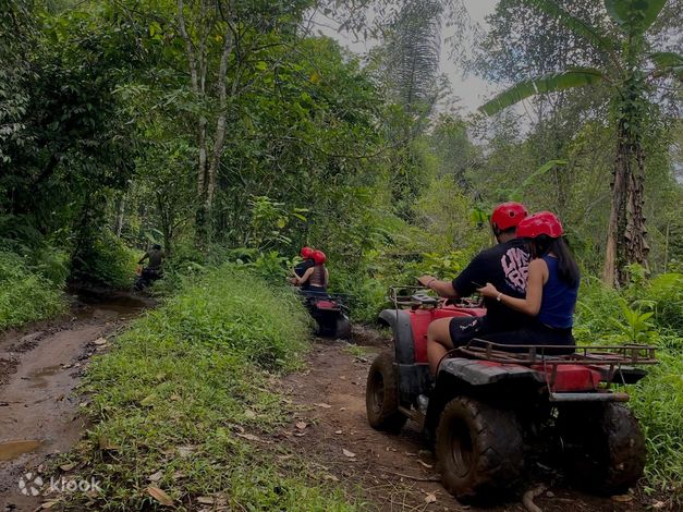 Jungle ATV Quad Bike Ride at Jatiluwih Bali - Klook India