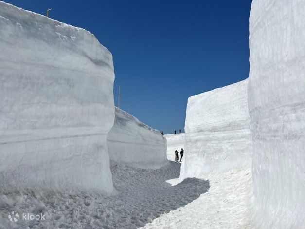 Tateyama Kurobe Snow Wall 2025 Festival 1 Day Bus Tour from Kanazawa ...