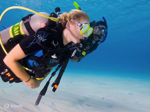 PADI Enriched Air Diver (E-learning) in Florida with PADI Dive Center ...