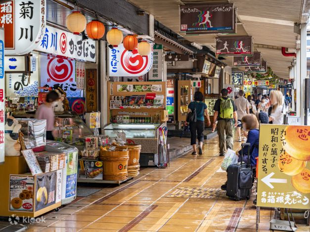 [Hakone In-depth Tour] Hakone Shrine, Sengokuhara, Hakone Yumoto Hot ...