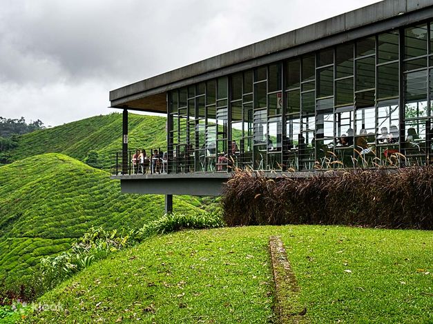 Escape to Nature: Cameron Highlands Private Day Tour from Kuala Lumpur ...