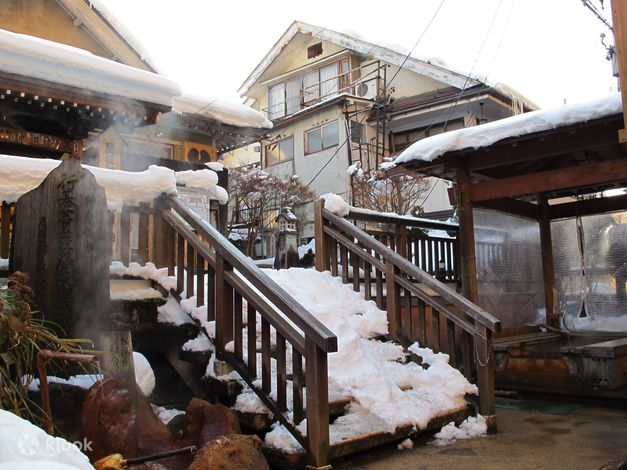 Snow Monkey & Shibu Onsen Tour in Nagano (Nozawa Onsen Departure) - Klook