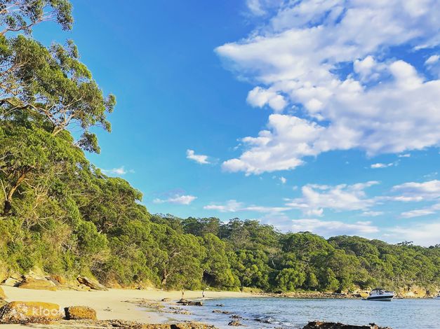 Georges Head - 莫斯曼的 Angophora 森林步道 - Klook客路
