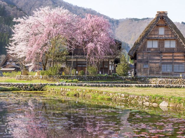 Gifu Shirakawa-go Gassho Village & Hida Takayama Old Town Day Tour - Klook