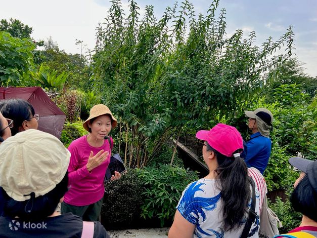 Past, Present & Future: A Heritage Walk in Chinese Garden - Klook États ...