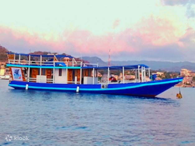 Scuba Diving in Komodo National Park with Maika Diving - Klook