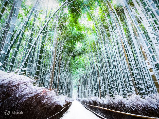 Winter only｜Arashiyama, Miyama Thatched Village, Gassho Village, Snow ...