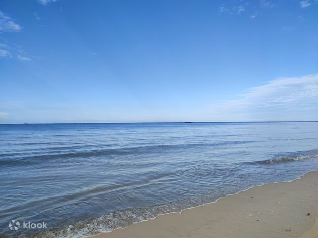 90 Minutes Beach and Tide Pool Walk in Desaru Walking Tour - Klook